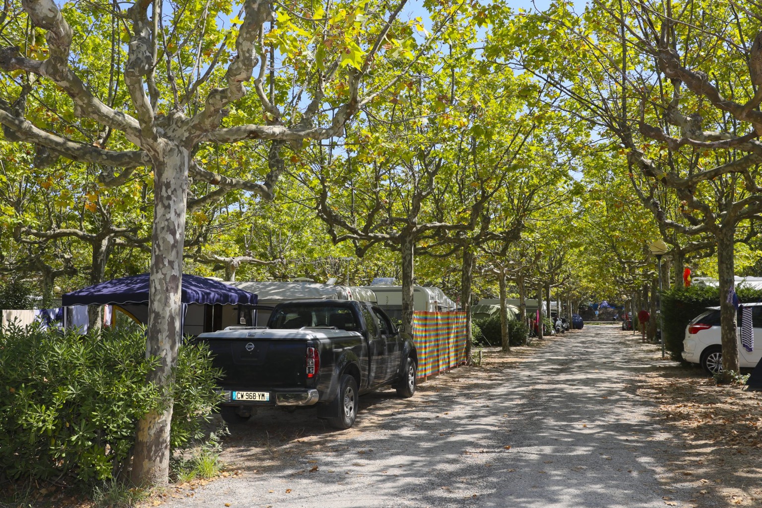 Emplacement de camping à Bormes les Mimosas dans le Var - Camp du Domaine